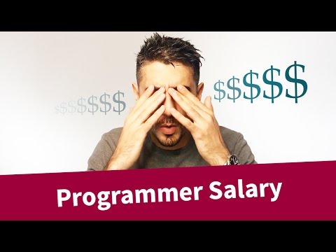 How much money programmers make?