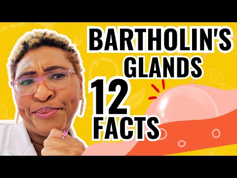 Understanding Bartholin's Cysts | 12 Facts Explained