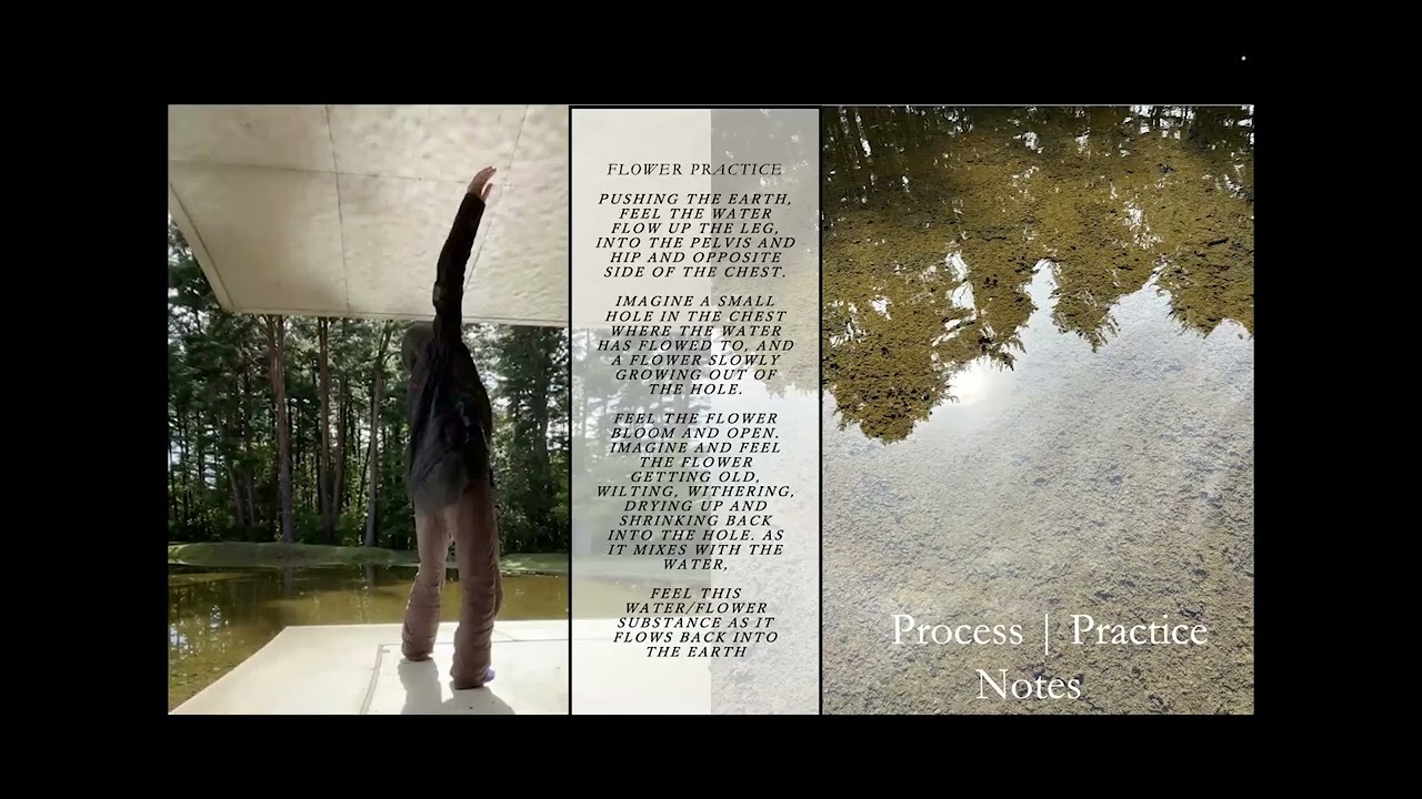 More-than-Human/ities - Session Four: Thinking With/In/As Water