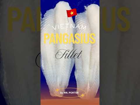 Frozen Pangasius fillet - Pangasius factory in Vietnam 2025 || PORTER SEAFOOD #swai #basa #pangasius