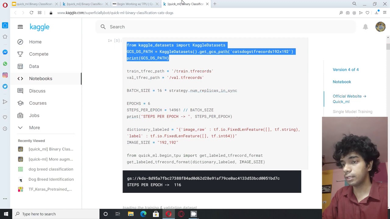 Using quick ml for Binary Classification Cats and Dogs
