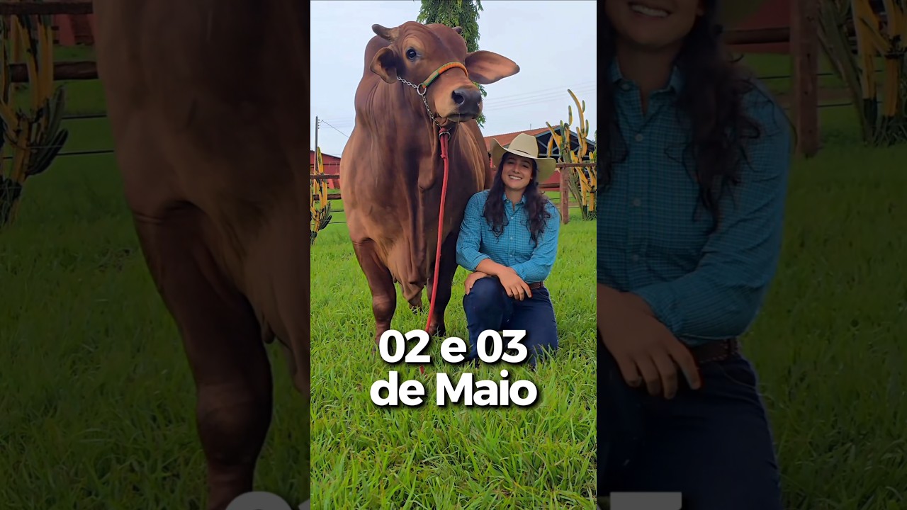 The Sindi Porangaba auction will take place during the Expozebu finals! May 2nd and 3rd = mark th...