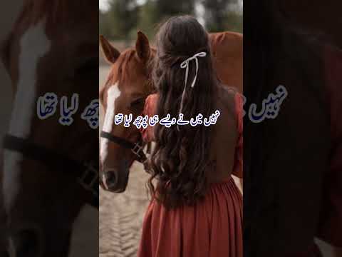 Urdu romantic novel, social content base best Urdu novel #bestnovel #novelist #urdunovels #novel
