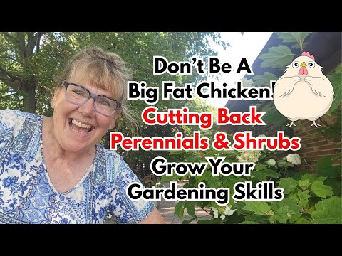 How to Cut Back Perennials and Shrubs-Grow your Gardening Skills
