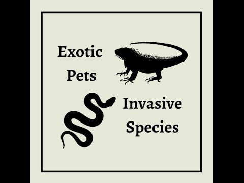 Defining Invasive Species