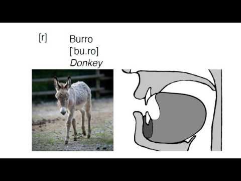 European Spanish Pronunciation, Video 1: Spanish Phonetics and Spelling