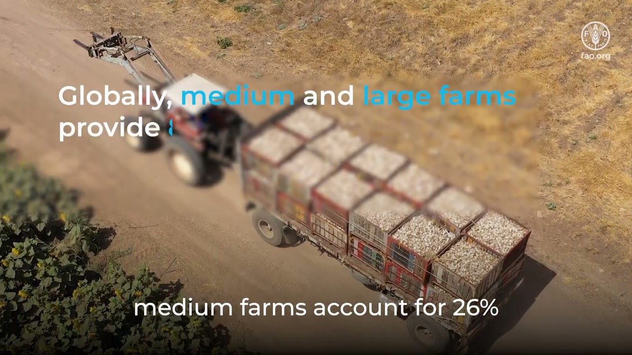 The State of Food and Agriculture 2025