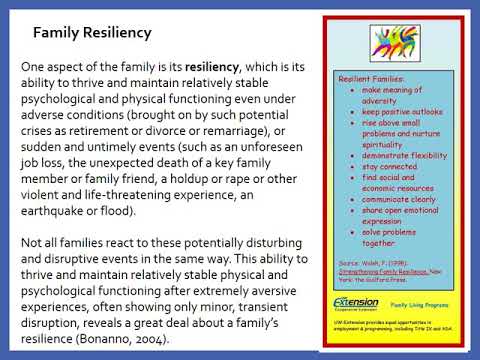 Introduction to Family Therapy