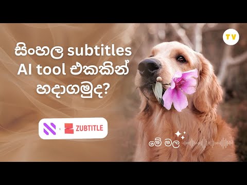 සිංහල subtitles AI tool එකකින් හදාගමුද? | Sinhala subtitles with AI
