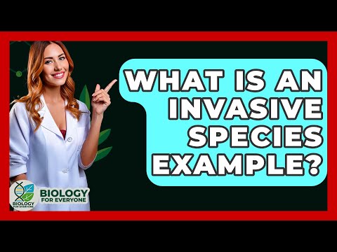 What Is An Invasive Species Example? - Biology For Everyone