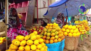 10 Things to Do in Nyala City Library, Nyala Sudan | Gems.Travel