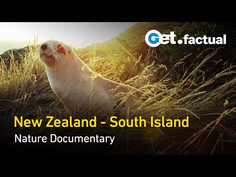 New Zealand - Wild at Heart | Full Nature Documentary