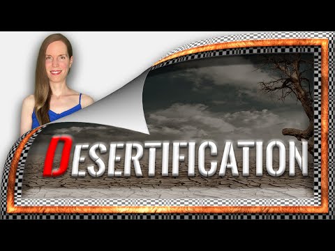 What Causes Desertification? 4 Things You Must Know