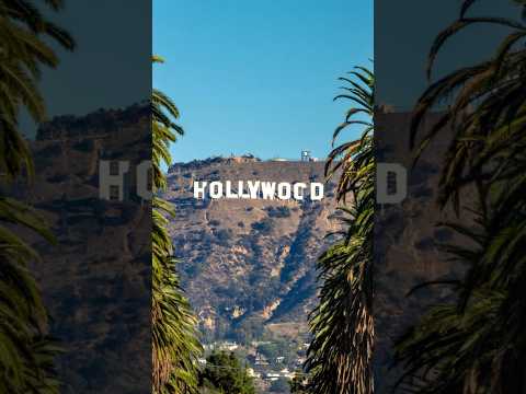 The Hollywood Sign's Secret Origin: It's NOT What You Think! 🎬  🏠 #shorts #hollywood  #fact