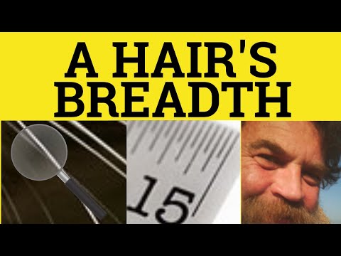 🔵 By a Hair's Breadth - By a Hair's Breadth Meaning - By a Hair's Breadth Examples - British English
