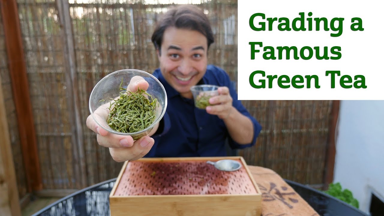Grading a Famous Green Tea