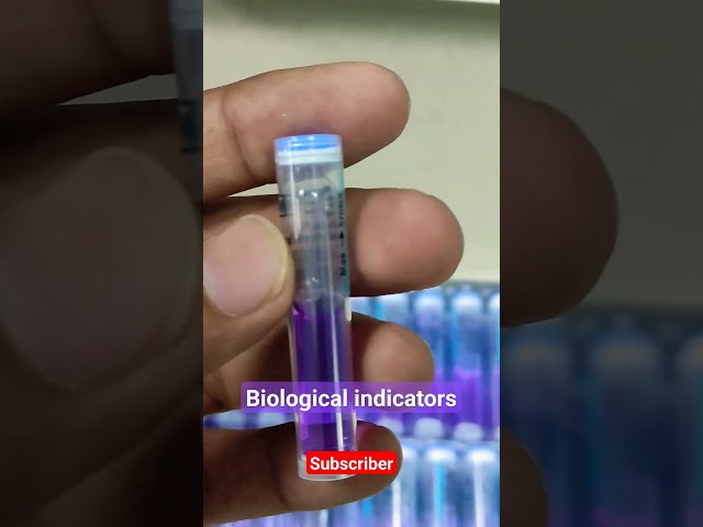 Biological Indicator - Autoclave Biological Indicator Strips Trader ...