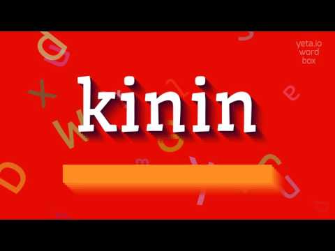 How to say "kinin"! (High Quality Voices)