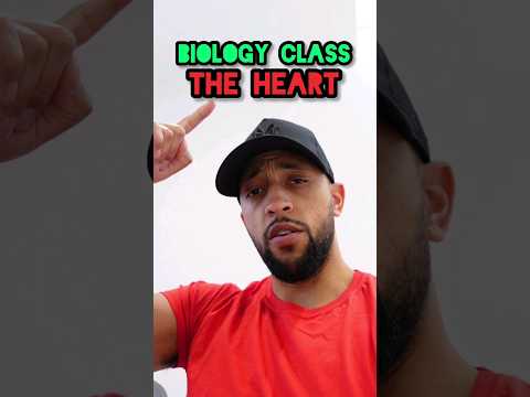GCSE Biology - Heart Structure