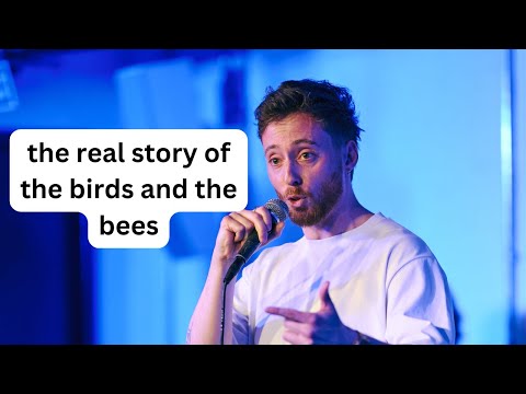 all the birds and all the bees - myndstate