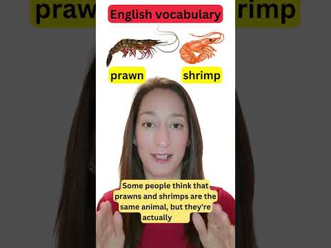 How to talk about SEAFOOD in English 🦑🦐🦞 #shorts #english