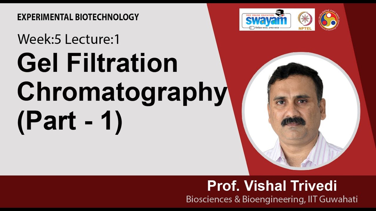 Understanding Gel Filtration Chromatography: Principles and ...