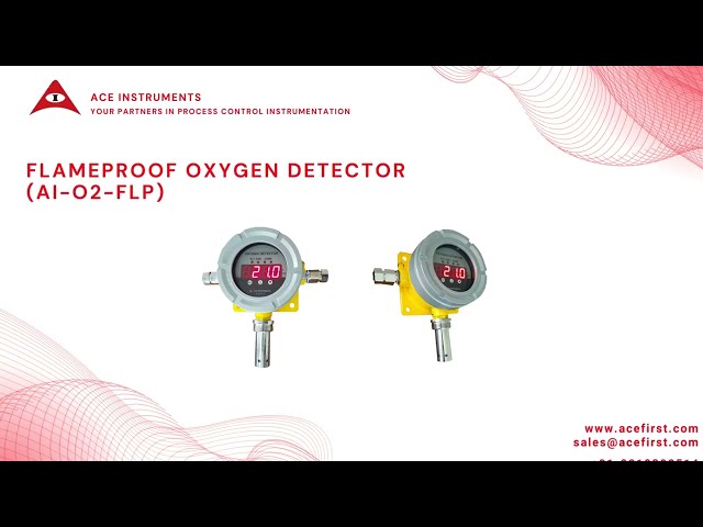 Flameproof Instruments - Flameproof Digital Vacuum Gauge Manufacturer ...