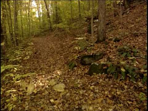 WV Land Trust | MotionMasters Video Production