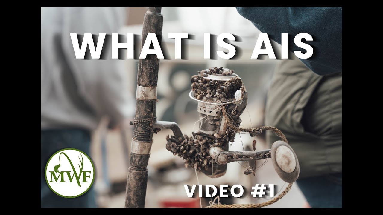 What is Aquatic Invasive Species