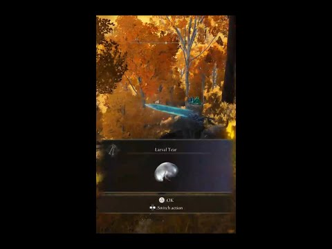 Secret Larval Tear in under 25 seconds - Elden Ring