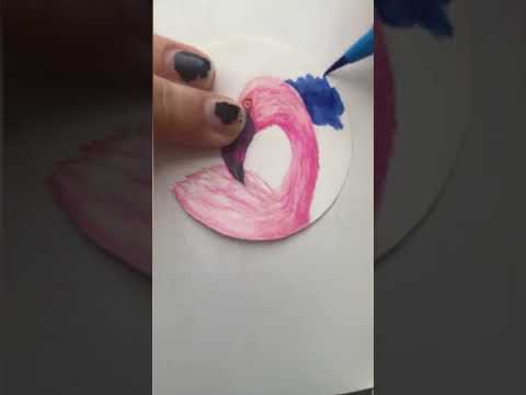 Basic Overview of the Lesser Flamingo