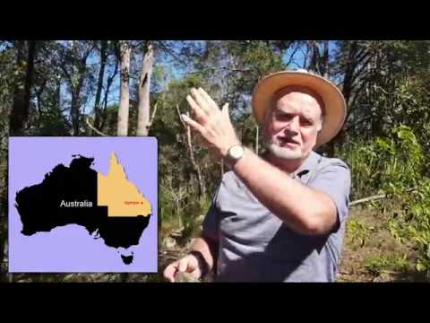 Greg Sheehy on Gympie Pyramid in Australia