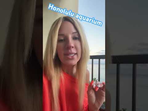 Honolulu aquarium review #honolulu #aquarium #vacation #review
