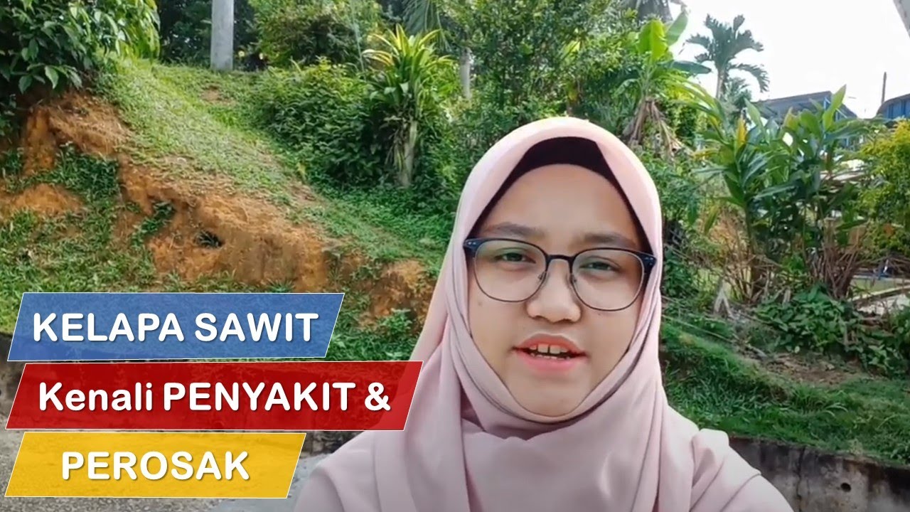 [ Kelapa SAWIT ] Kenali Penyakit Dan PEROSAK Tanaman KELAPA SAWIT Dan Cara Pengurusannya