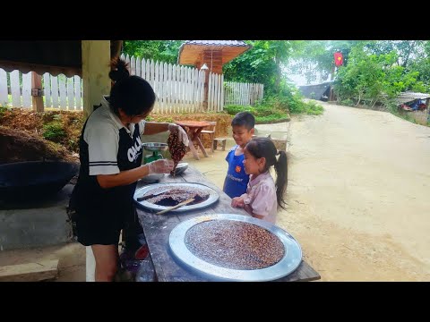NHAT & KONG Press sugarcane to make peanut candy. Harvesting squash and watermelon for sale