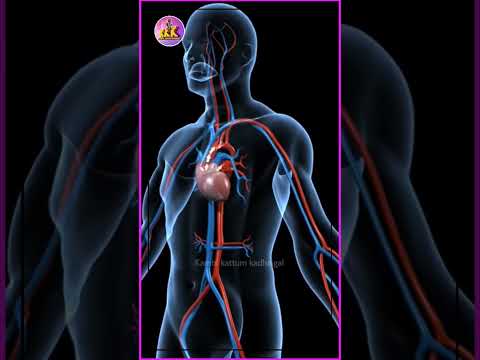 இதயத்தை♥️ பற்றி தெரிந்துகொள்ளுங்கள்🫣 #heart #tamil #viral #youtubeshorts #health