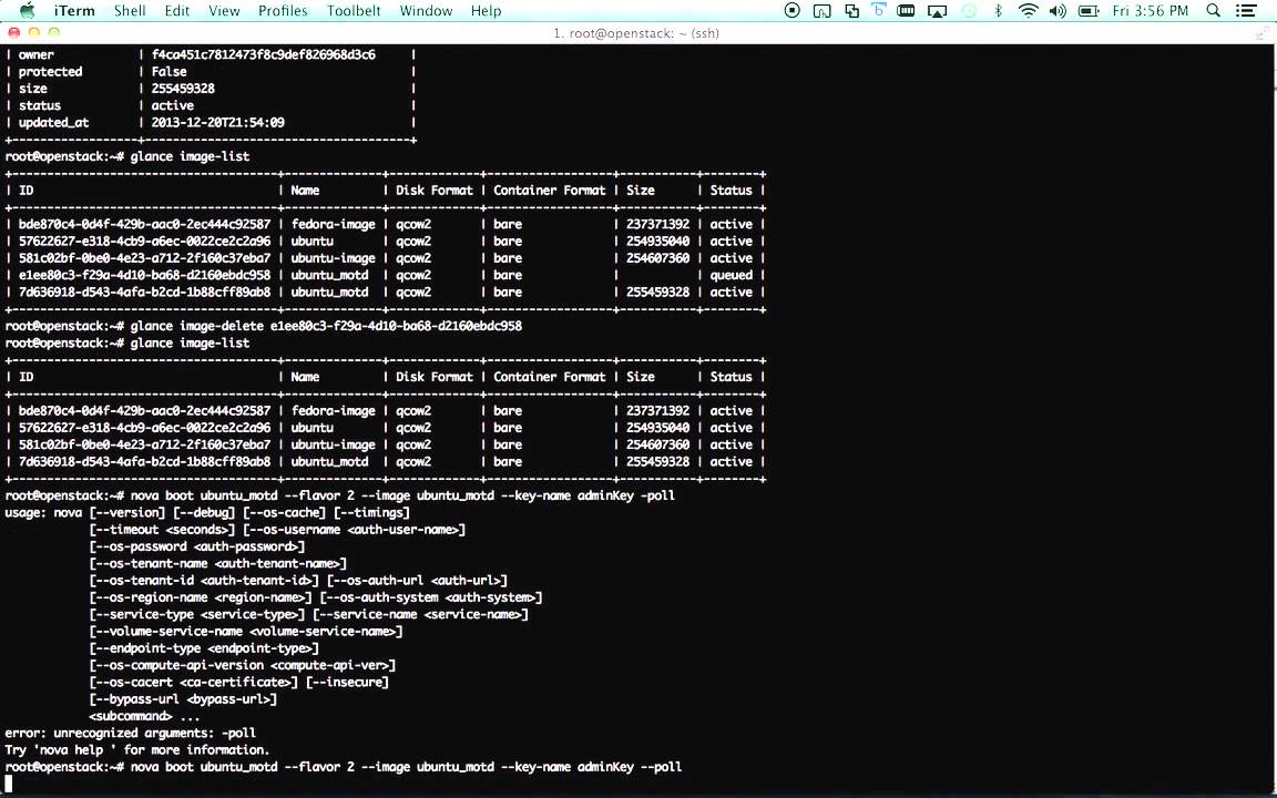 Openstack basic CLI command Configuration