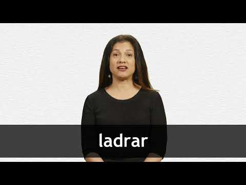 English Translation of “LADRAR” | Collins Spanish-English Dictionary