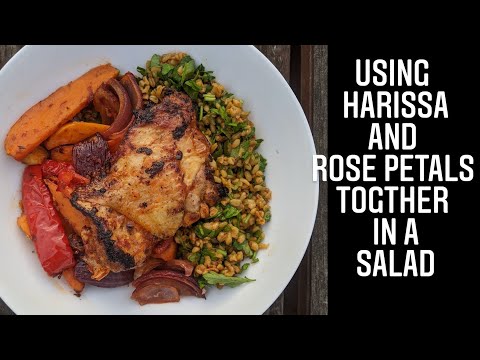Grilled chicken and Freekeh Salad with harissa & Rose petals marinated roasted vegetables