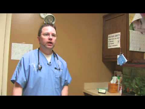 How to Treat Pancreatitis in Dog