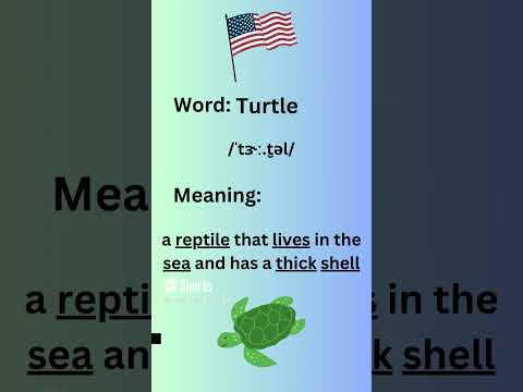 How to Pronounce Turtle in American Accent #learning #learnenglish