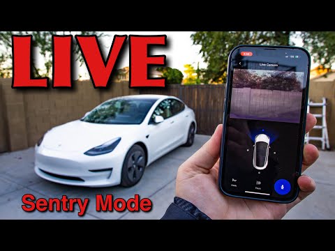 Sentry Mode Live - How It Works with Tesla Model 3