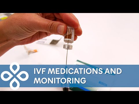 IVF Procedure Step by Step - Part 2