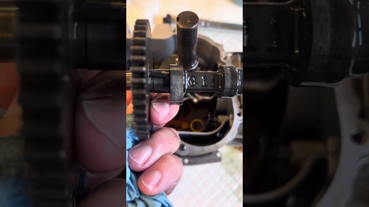 Tecumseh LH195SP compression release