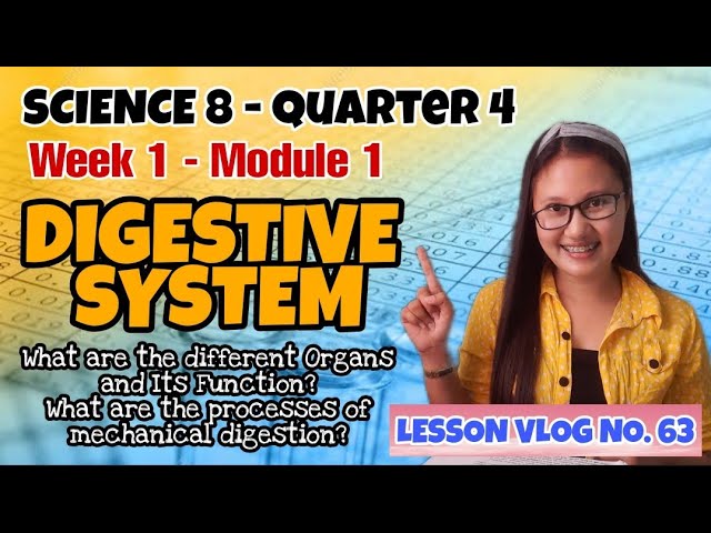 Understanding the Digestive System: A Comprehensive Guide | Galaxy.ai