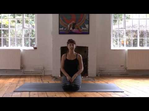 The Power Yoga Company - Chaturanga Dandasana with Rachel Perry