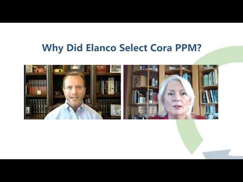 Factors to Consider When Selecting a Project Portfolio Management Software Solution. A Case Study