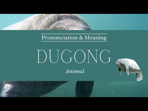 How to Pronounce: Dugong | Pronunciation & Meaning (British English)