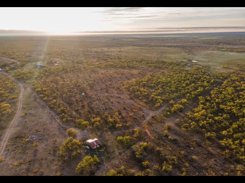 Country Living in Eden, TX!