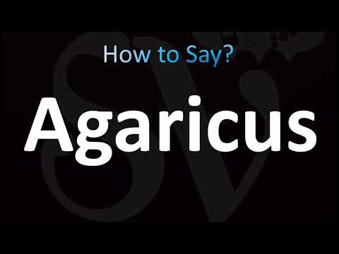 How to Pronounce Agaricus (CORRECTLY!)